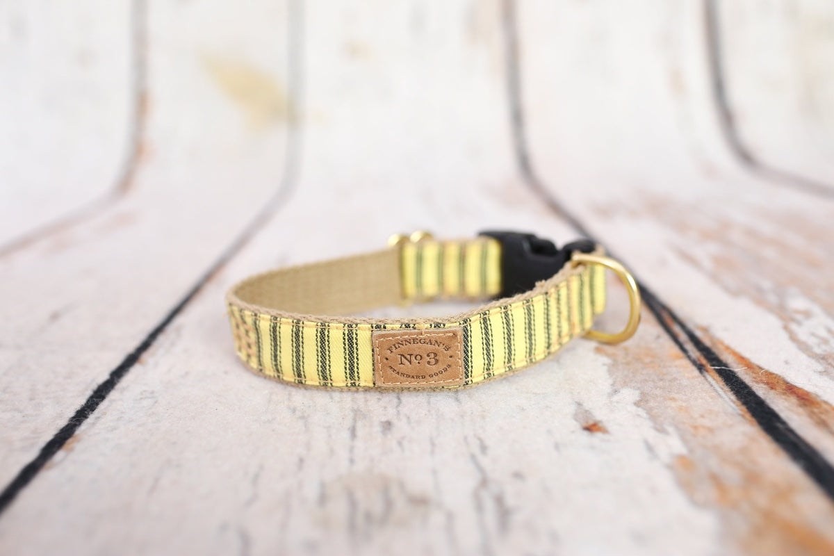 1" Sunshine Stripes Collar – Finnegans Standard Goods